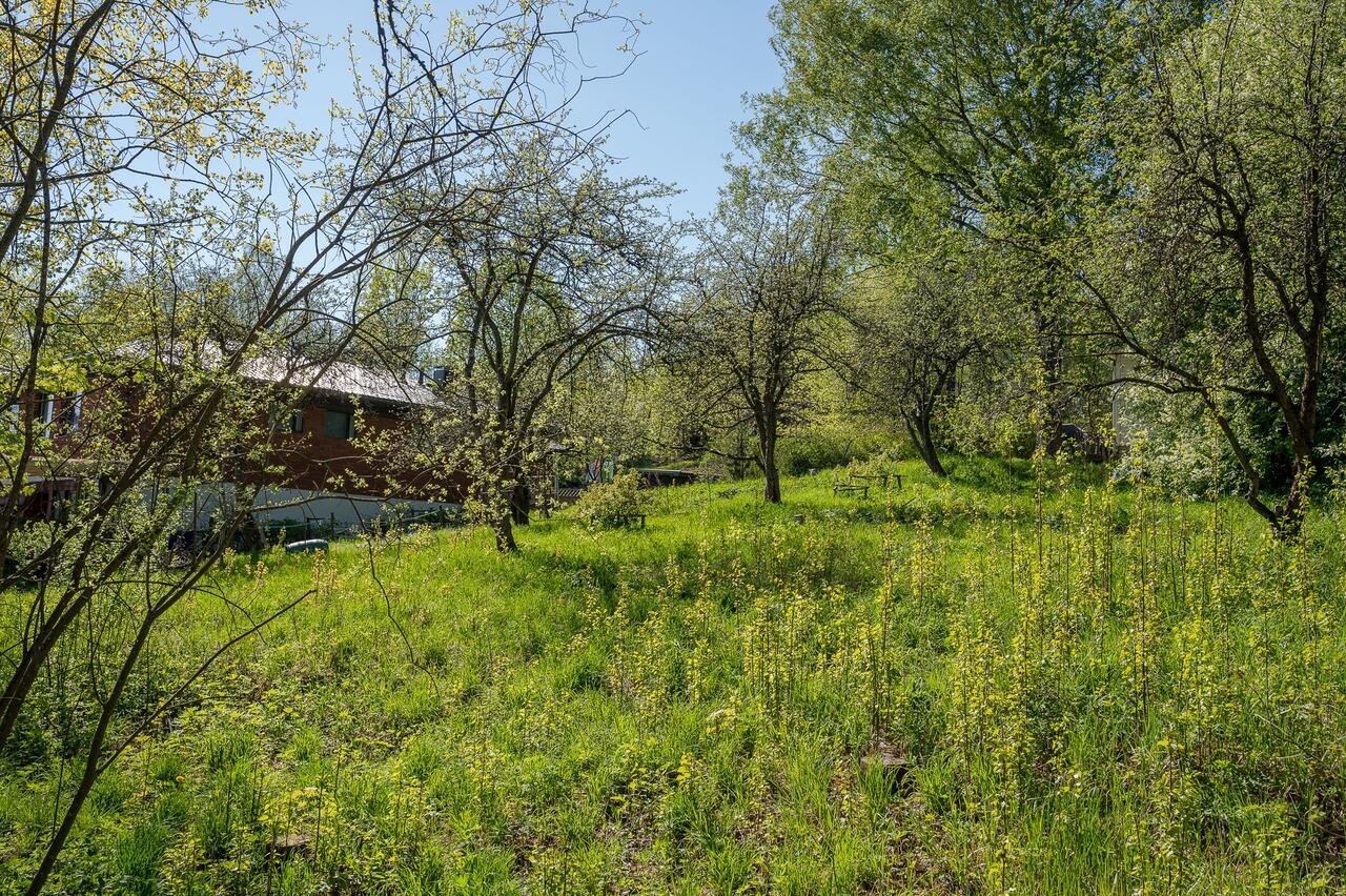 Myydään Muu - Vantaa, Vaarala, Sakarakuja 10 - Etuovi.com 80436550