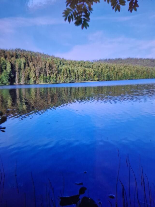 Myydään Muu - Viitasaari, Jurvansalo, Sininentie 397 - Etuovi.com 20795728