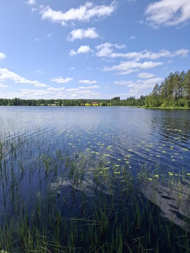 Myydään Omakotitontti - Multia, Vehkoo, Ranta-ahonpolku 81 - Etuovi.com ...