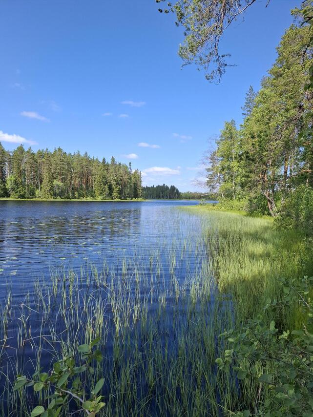 Myydään Omakotitontti - Multia, Vehkoo, Ranta-ahonpolku 81 - Etuovi.com ...
