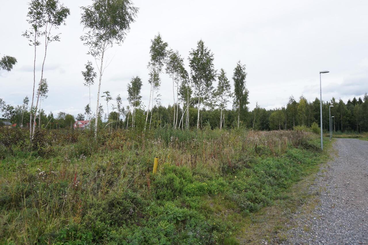 Myydään Omakotitontti - Varkaus, Könönpelto, Muikkukuja 2 - Etuovi.com ...