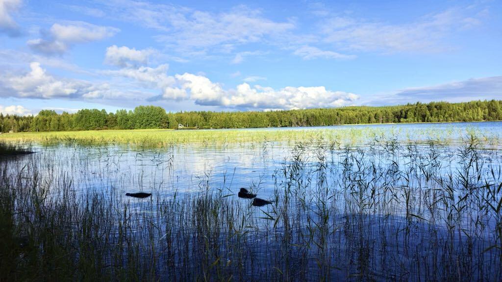 Myydään Vapaa-ajan tontti - Paltamo, Melalahti, Ukonlahdentie Paltamo ...