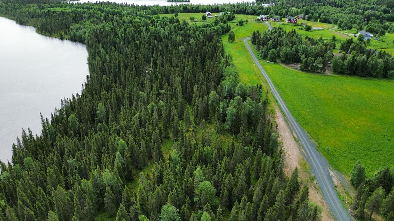 Myydään Vapaa-ajan tontti - Kuusamo, Virkkula Kuusamo, Ikihongantie ...