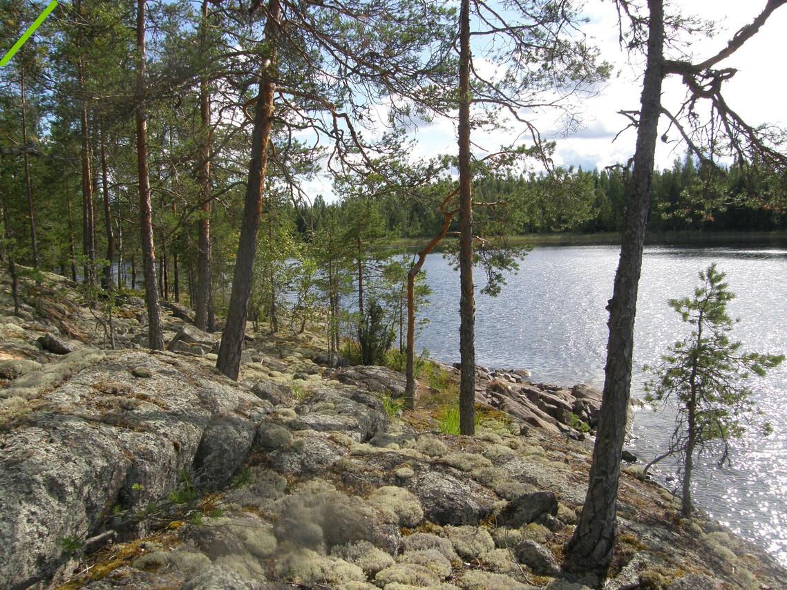 Myydään Vapaa-ajan tontti - Savonlinna, Saukonsaari, Pieni-Kontiainen ...