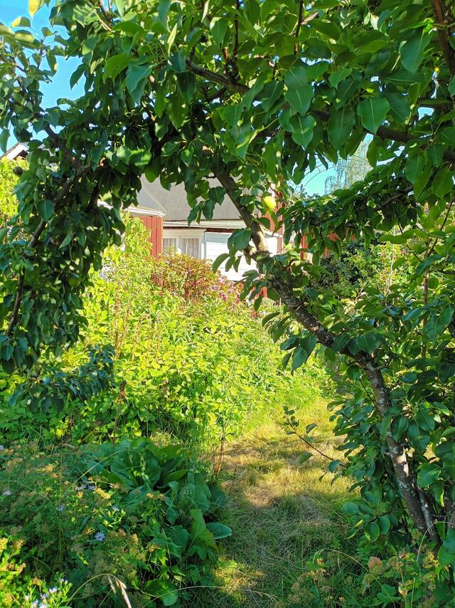 Myydään Mökki tai huvila, Yksiö - Helsinki, Ruskeasuo, Nauvontie 1 ...