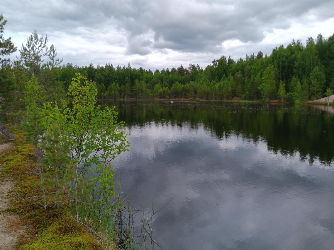 Myydään Vapaa-ajan tontti - Seinäjoki, koura, Kuorasjärventie 400 ...