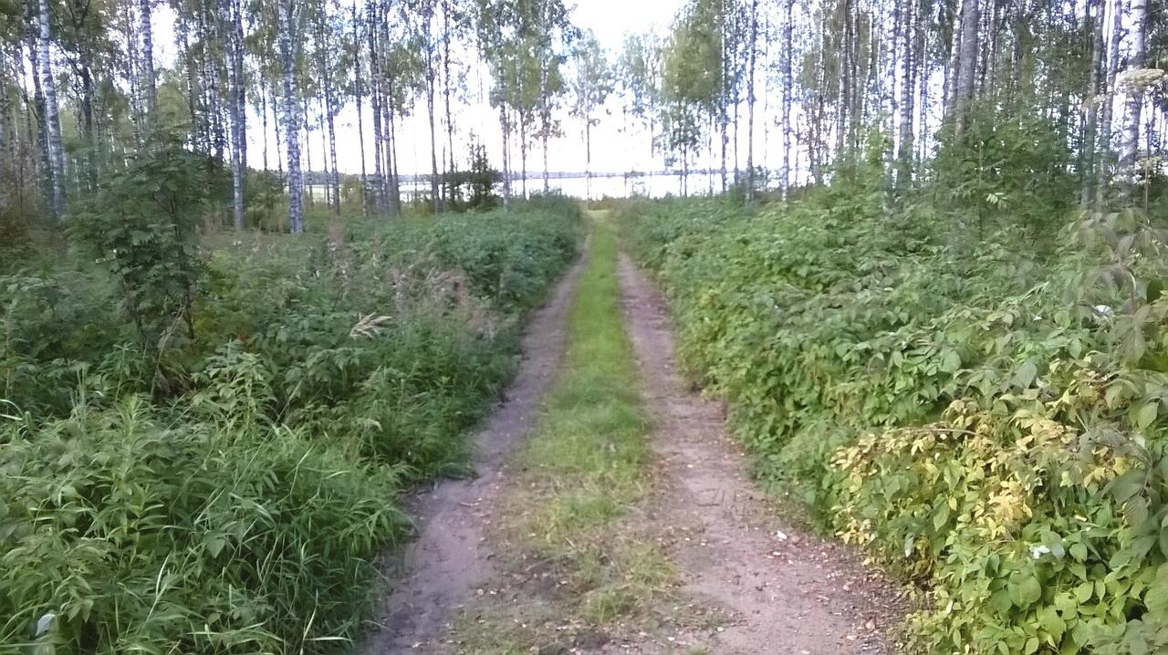 Myydään Vapaa-ajan tontti - Kauhajoki, Nummijärvi, Nummilahdentie 139 ...