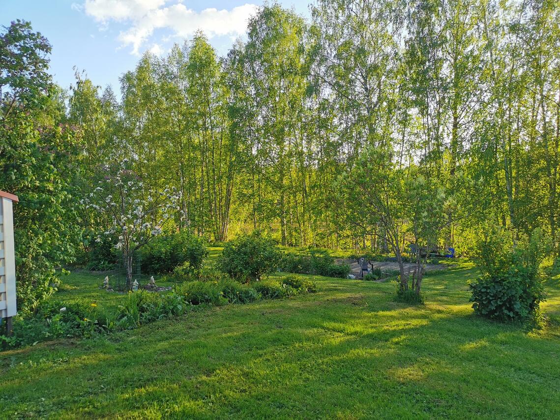 Myydään Rivitalo, 3 huonetta - Sysmä, Sysmä, Akanmutka 12 - Etuovi.com 20288725