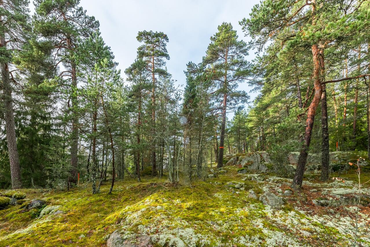 Myydään Omakotitontti - Turku, Haarla, Merentaantie 1 - Etuovi.com ...