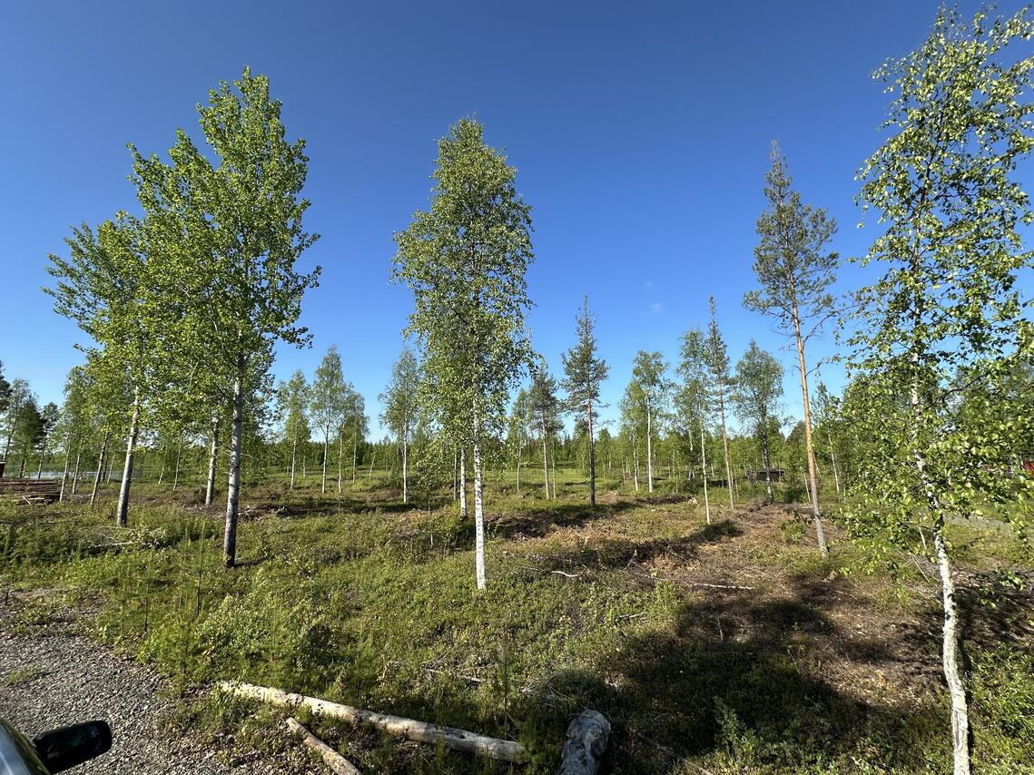 Myydään Omakotitontti - Kolari, Keskusta, Ylläsjoentie 22 - Etuovi.com ...