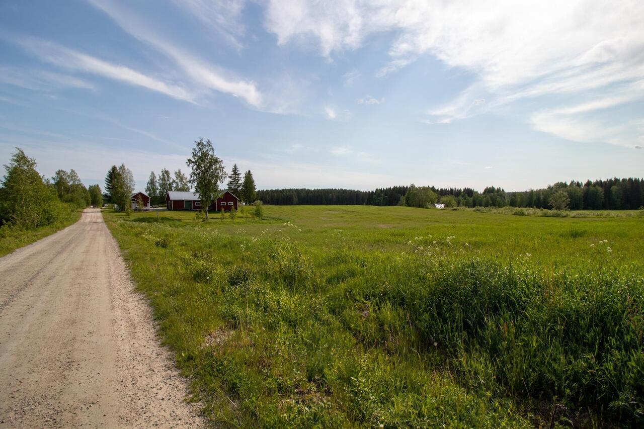Myydään Omakotitontti - Äänekoski, Äänekoivisto, Hirvaskangas ...