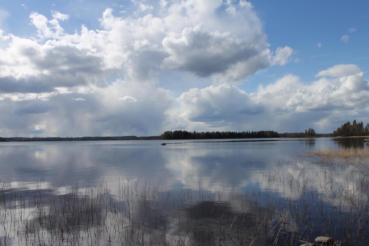 Myydään Vapaa-ajan tontti - Joroinen, Ruokoniemi, Viholantie 46G ...
