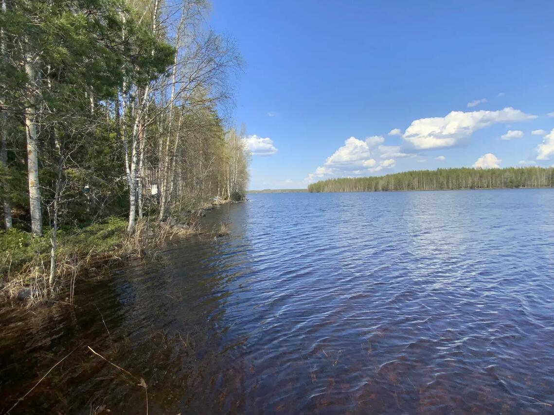 Myydään Vapaa-ajan tontti - Karstula, , Enonsaari - Etuovi.com 30127241