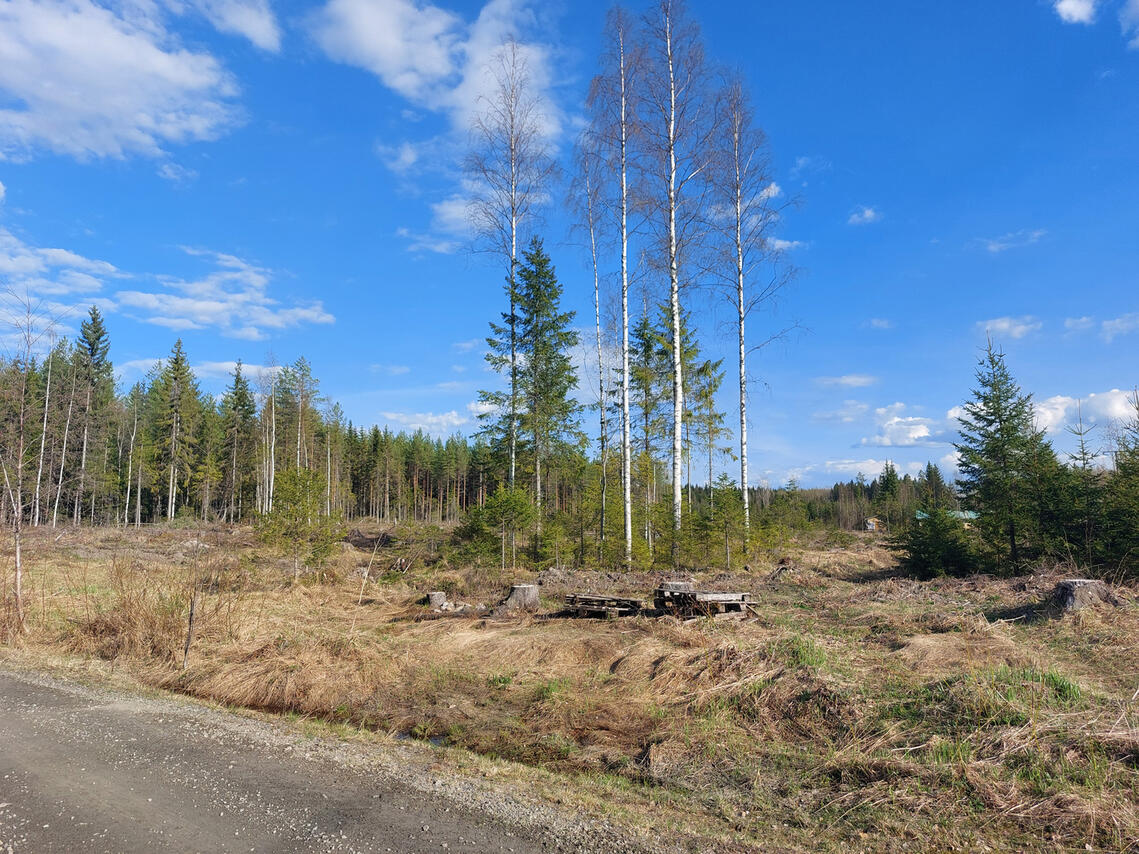 Myydään Omakotitontti - Siilinjärvi, Hamula, Riuttamäentie - Etuovi.com ...