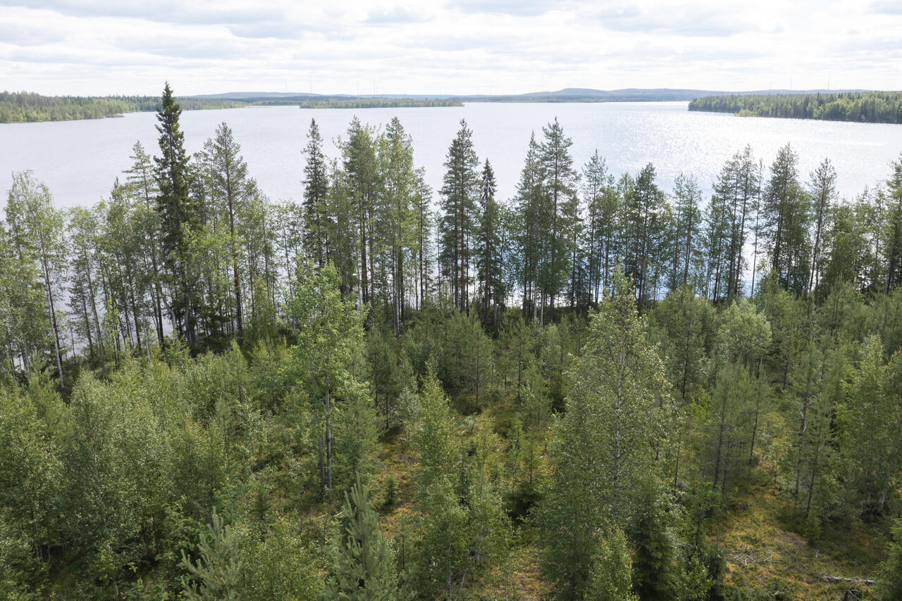 Myydään Vapaa-ajan tontti - Hyrynsalmi, , Hyrynsalmi, Hyrynjärven ...
