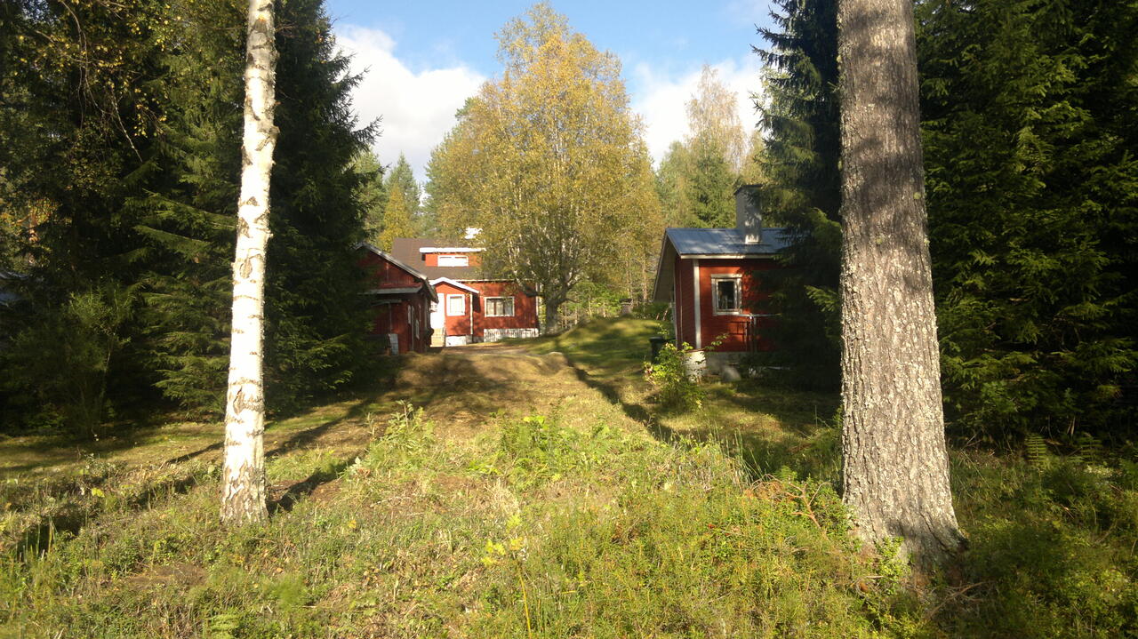 Myydään Omakotitalo, 3 huonetta - Lieksa, Pankakoski, Lammenkatu 15 ...